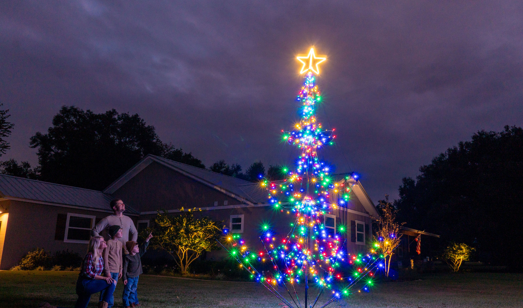 Little Christmas Trees